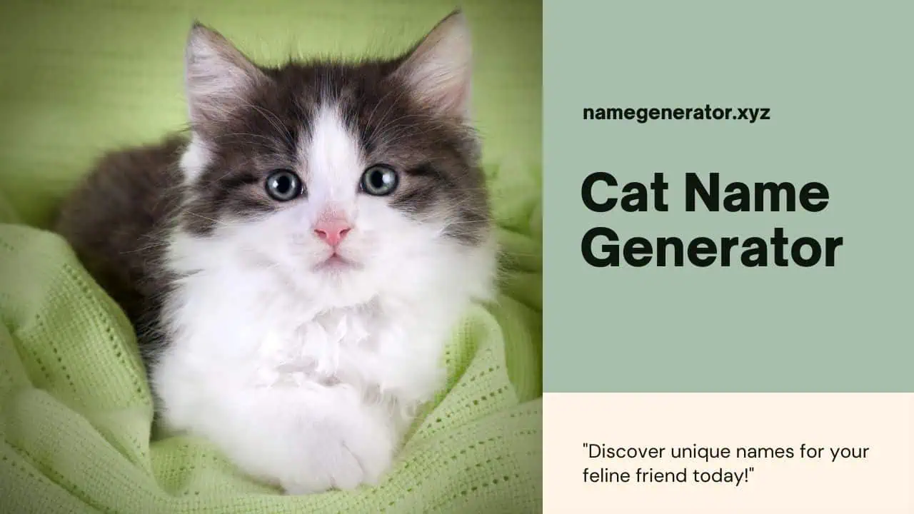 Cat Name Generator - Name Generator